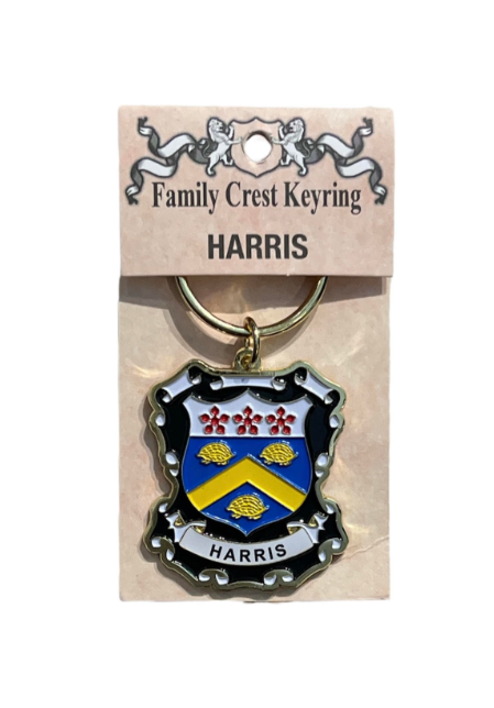 Harris Keyring - Donegal Square